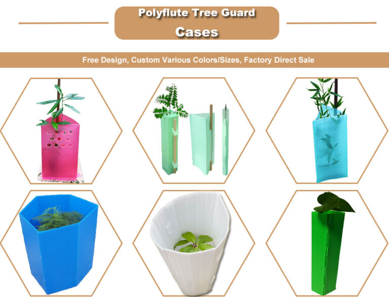 Corflute Plant Guards 2mm, Cost-effective Solution to Protect Young Trees